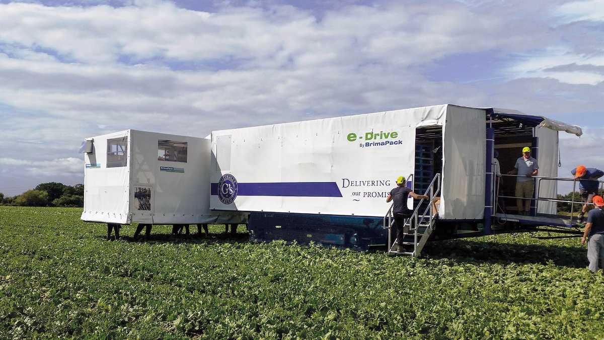 Extra-EU exports in practice | KVK