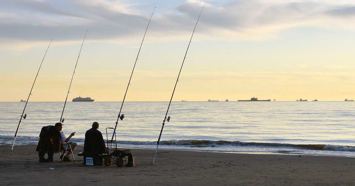 Board change? Adjust the UBO registration | KVK